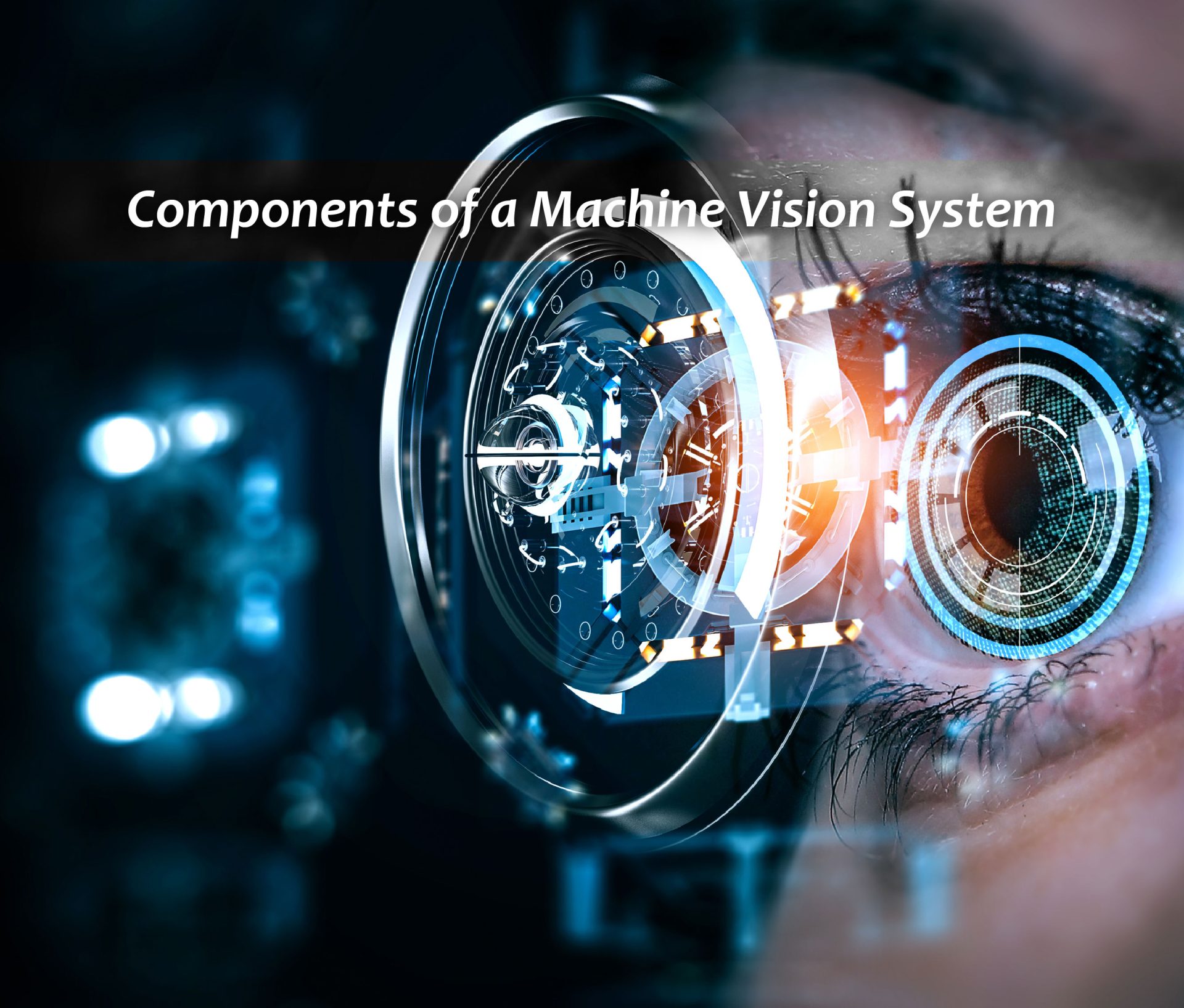 The Eyes of AI: How Does Machine Vision Work?