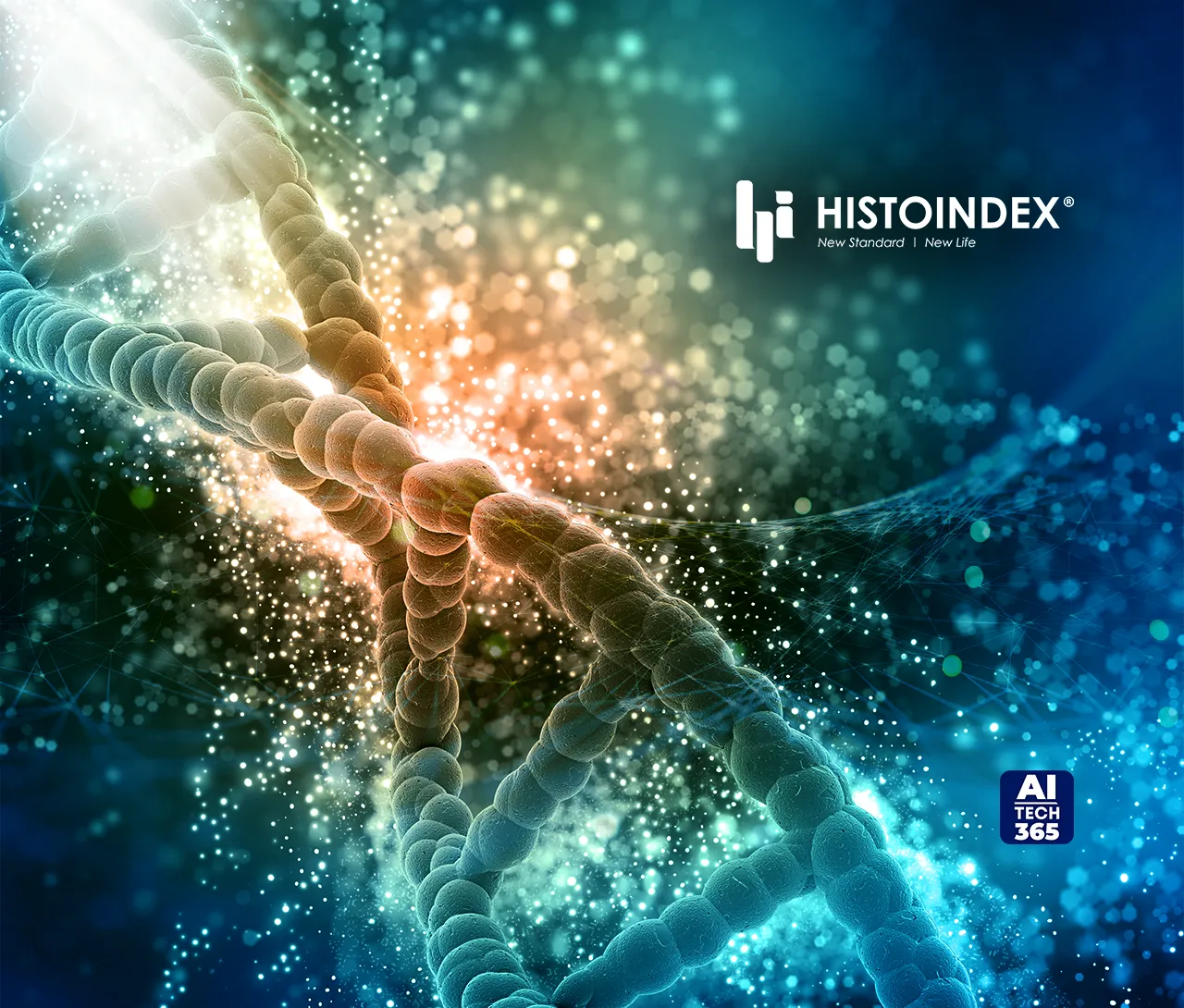 HistoIndex Advances Fibrosis Assessment with FibroSIGHT™ Plus